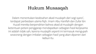 Musaqah & muzara'ah.pptx