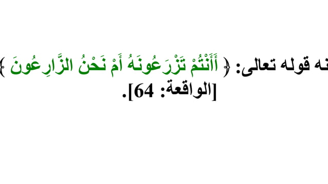 Musaqah & muzara'ah.pptx