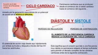 MUSCULO. CARDIACO EL CORAZON COMO BOMBA.pptx