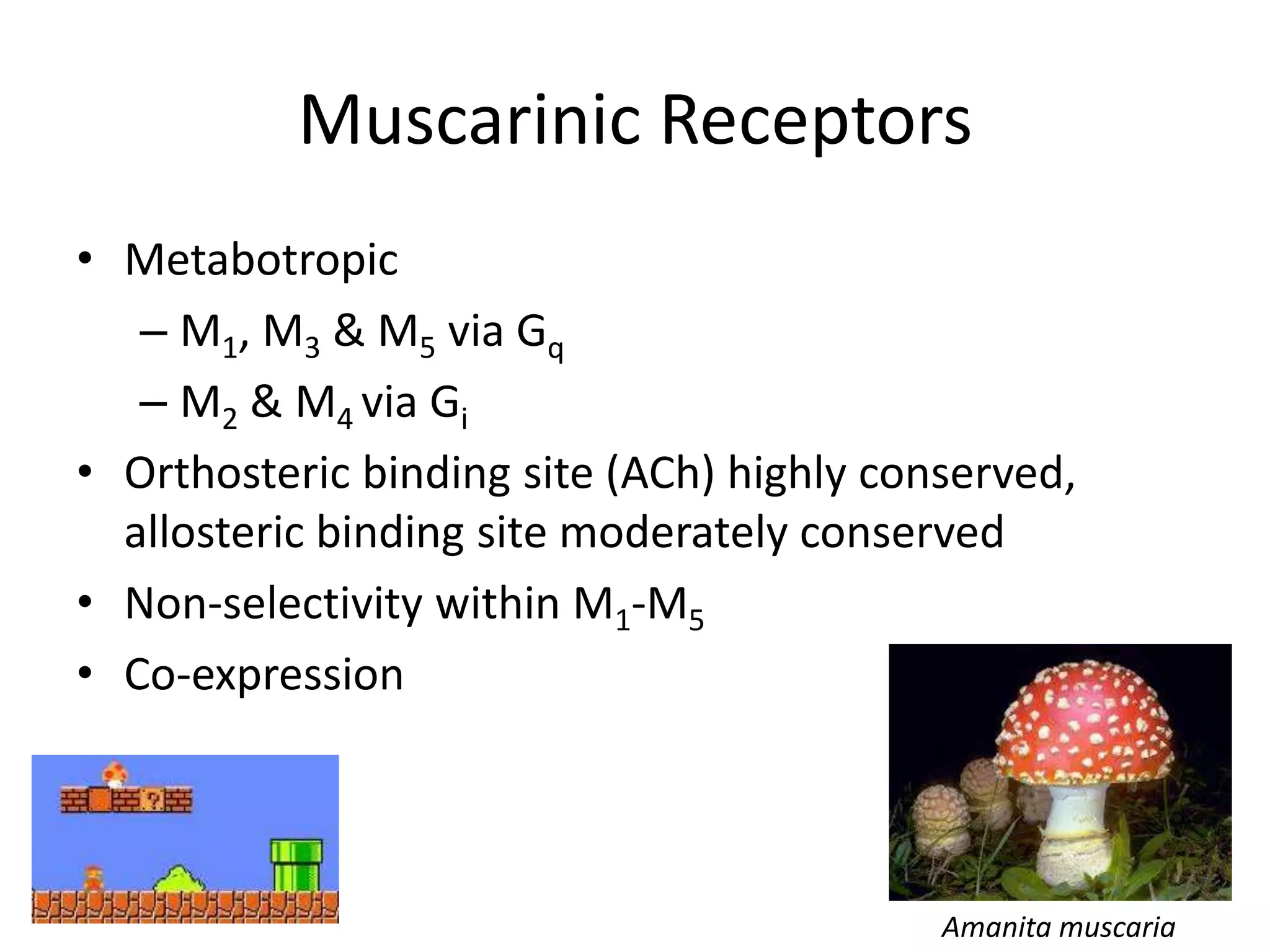 Muscarinic agonists and antagonists | PPTX