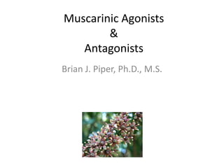 Muscarinic agonists and antagonists | PPTX