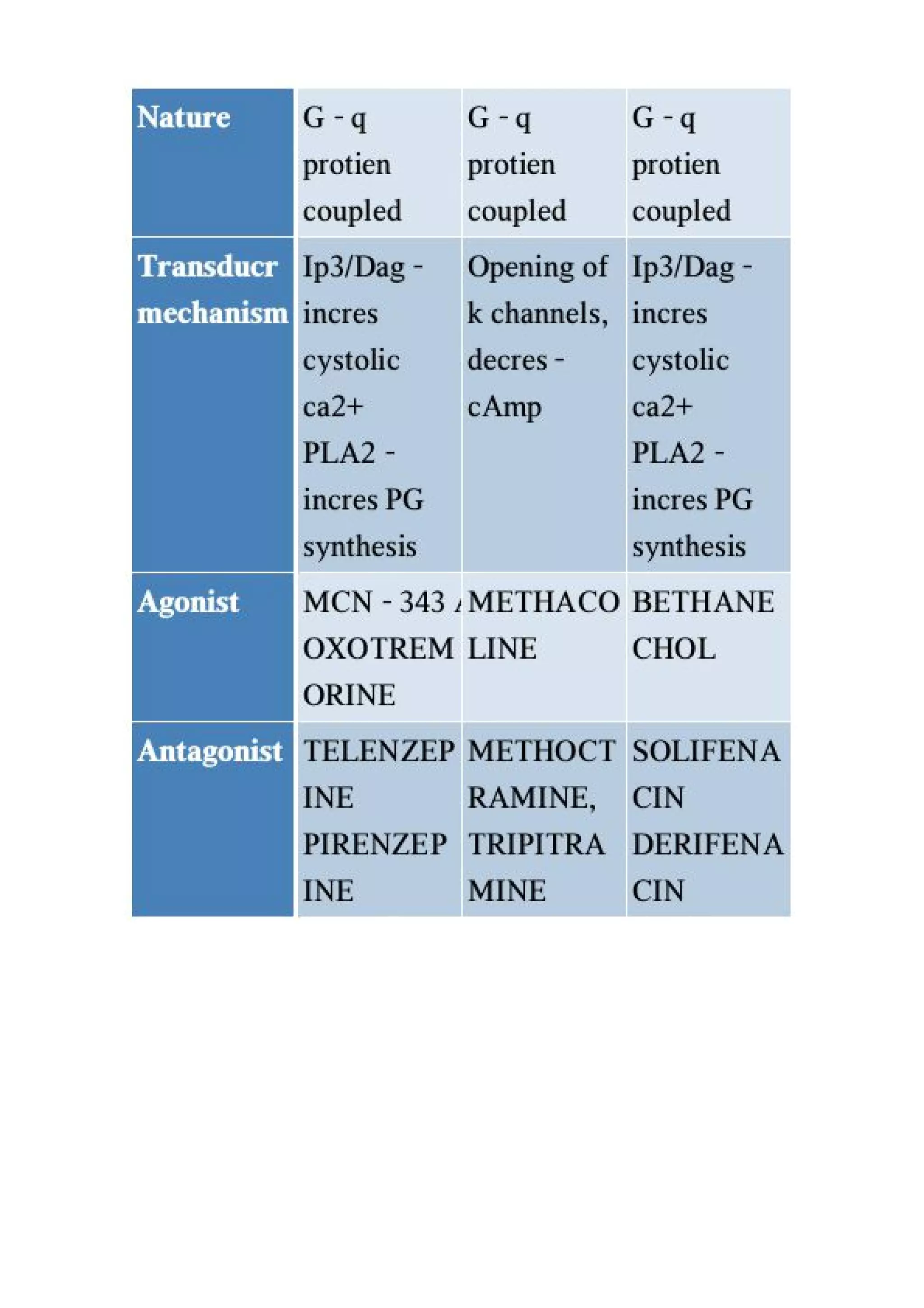 Muscarinic receptor | PDF