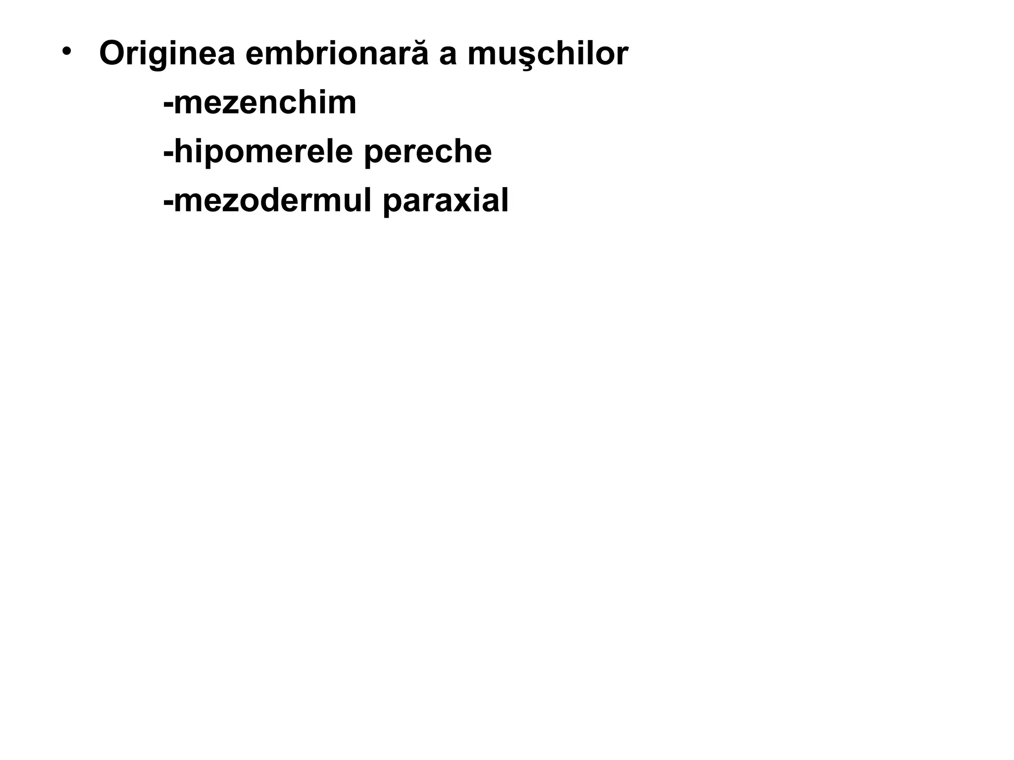 Sistemul muscular | PPT