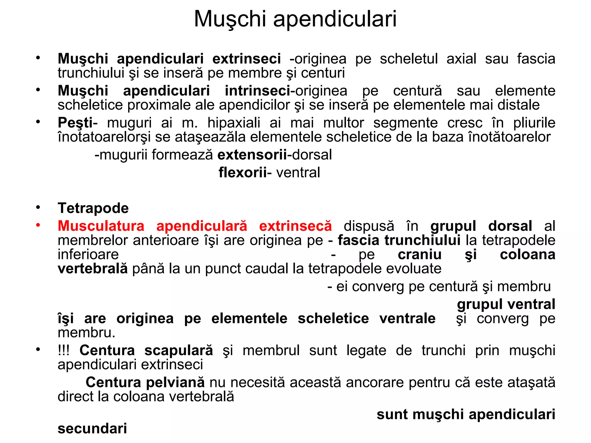 Sistemul muscular | PPT