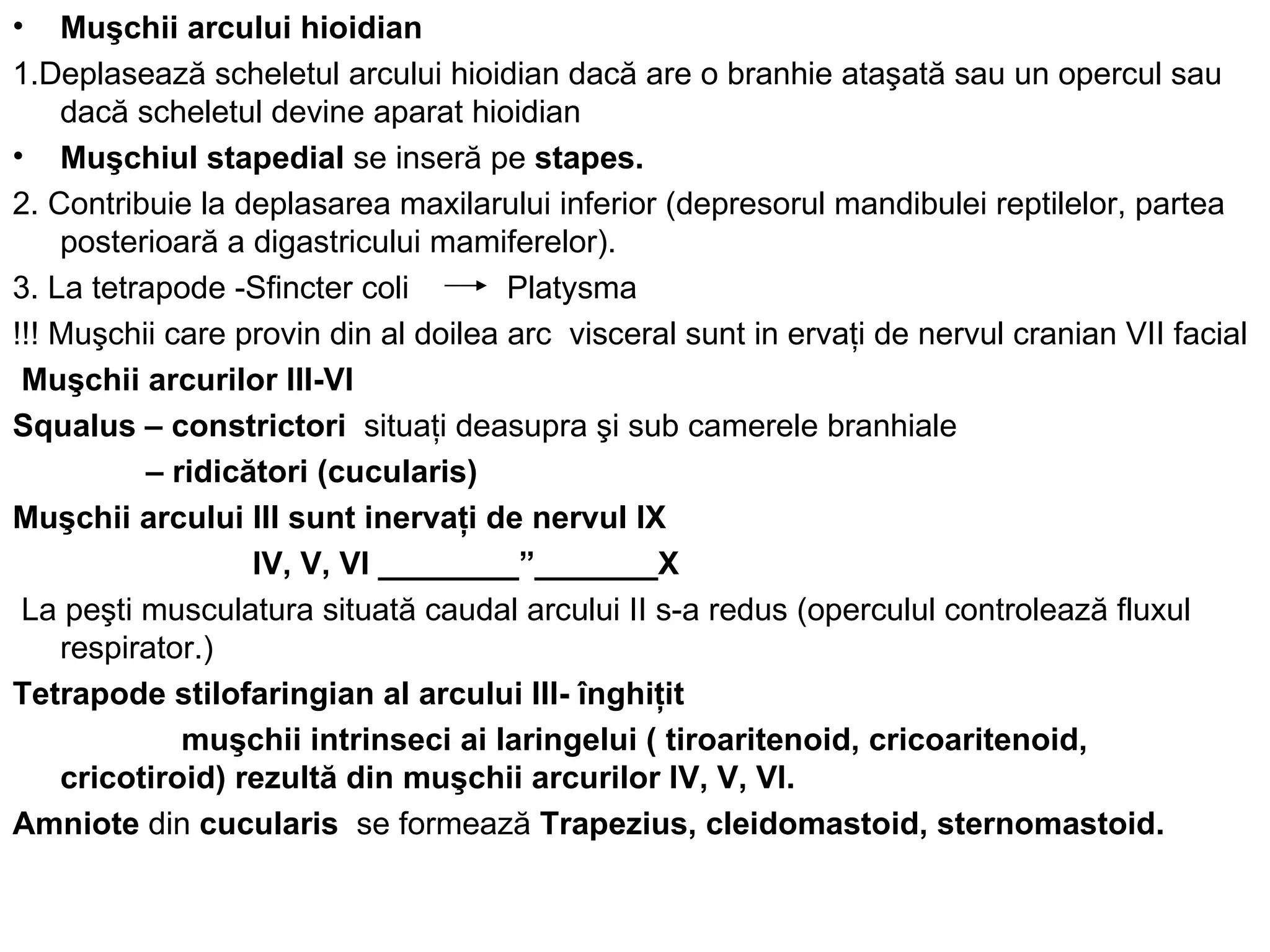 Sistemul muscular | PPT