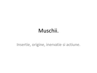 Muschii. | PPTX