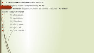 Muschii.pdf