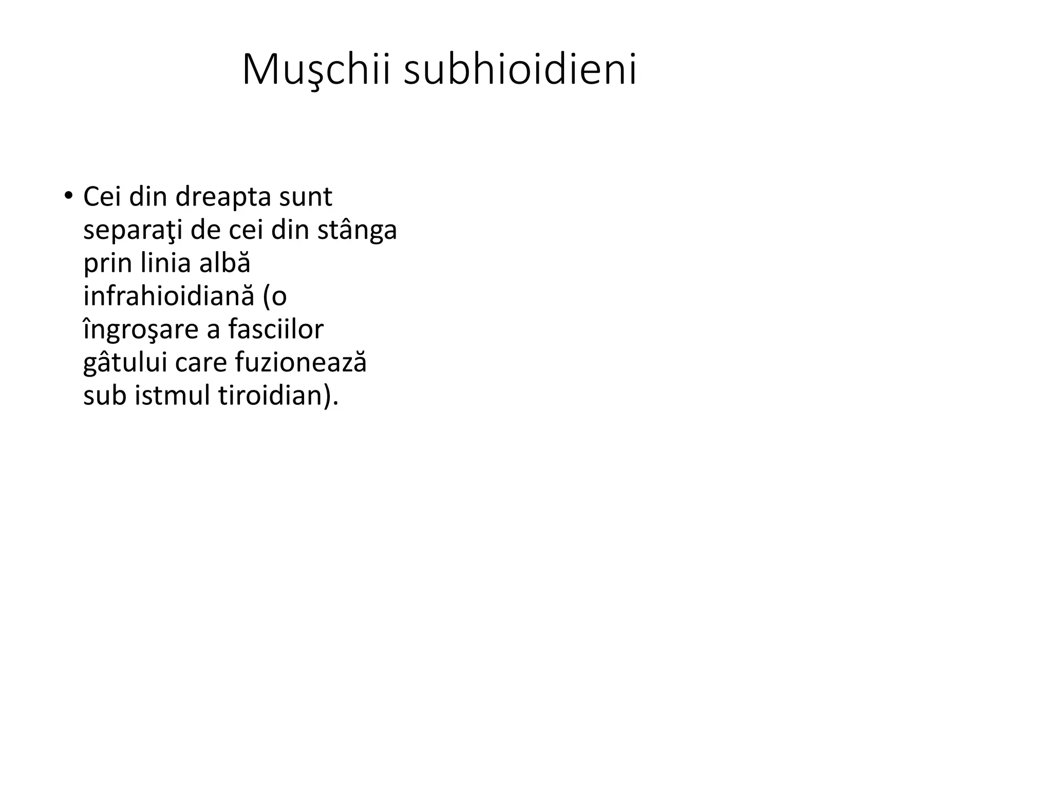 Muschii-Capului-Si-Gatului.pdf