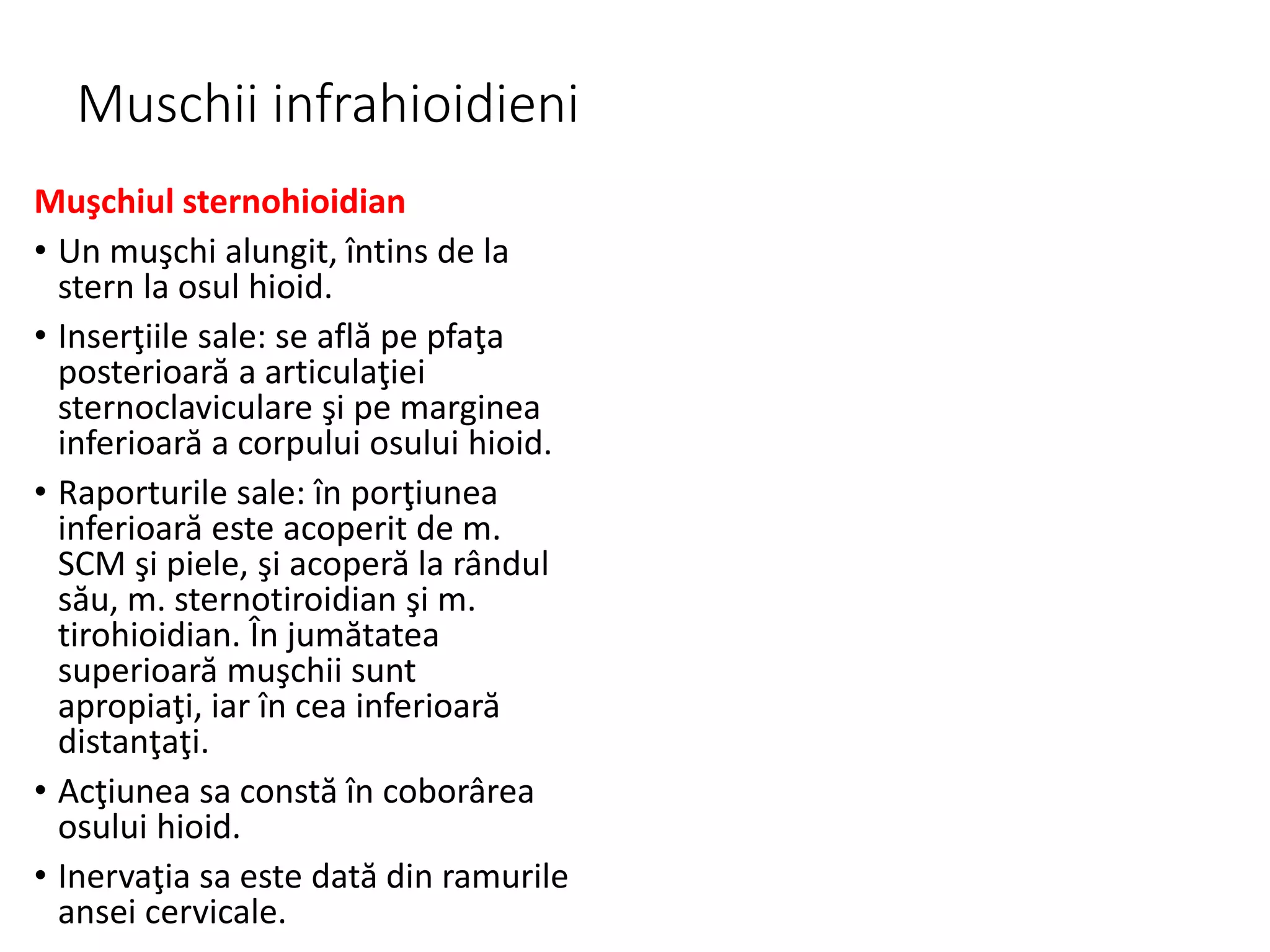 Muschii-Capului-Si-Gatului.pdf