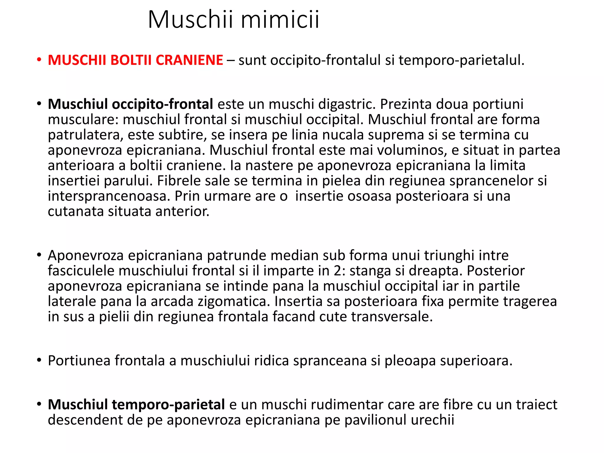 Muschii-Capului-Si-Gatului.pdf
