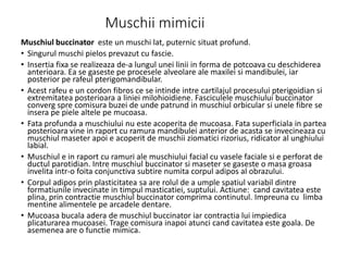 Muschii-Capului-Si-Gatului.pdf