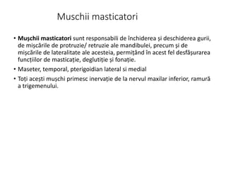 Muschii-Capului-Si-Gatului.pdf