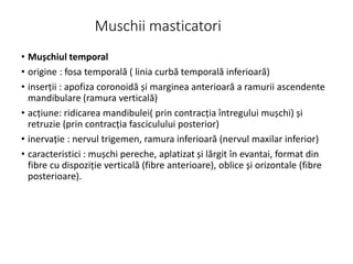 Muschii-Capului-Si-Gatului.pdf