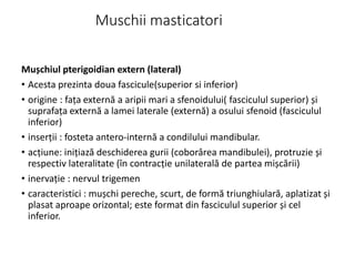 Muschii-Capului-Si-Gatului.pdf