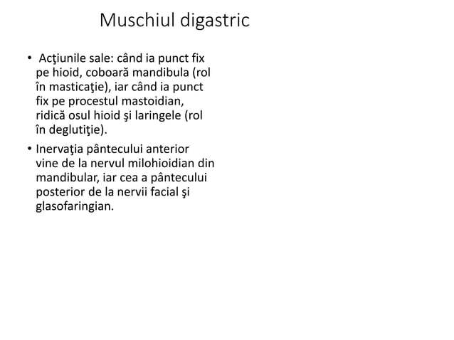 Muschii-Capului-Si-Gatului.pdf