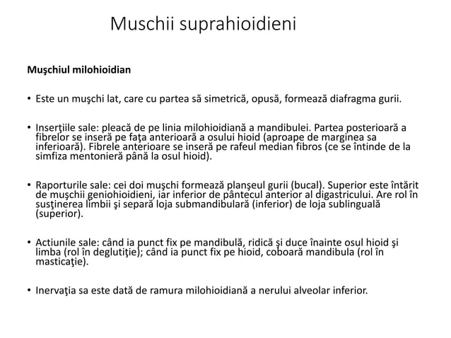 Muschii-Capului-Si-Gatului.pdf