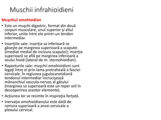 Muschii-Capului-Si-Gatului.pdf
