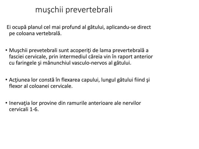 Muschii-Capului-Si-Gatului.pdf