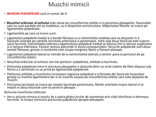 Muschii-Capului-Si-Gatului.pdf