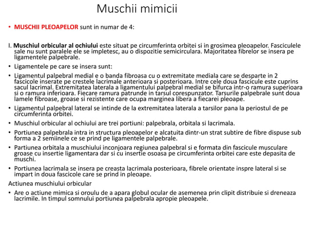 Muschii-Capului-Si-Gatului.pdf