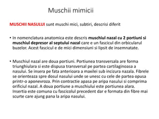 Muschii-Capului-Si-Gatului.pdf