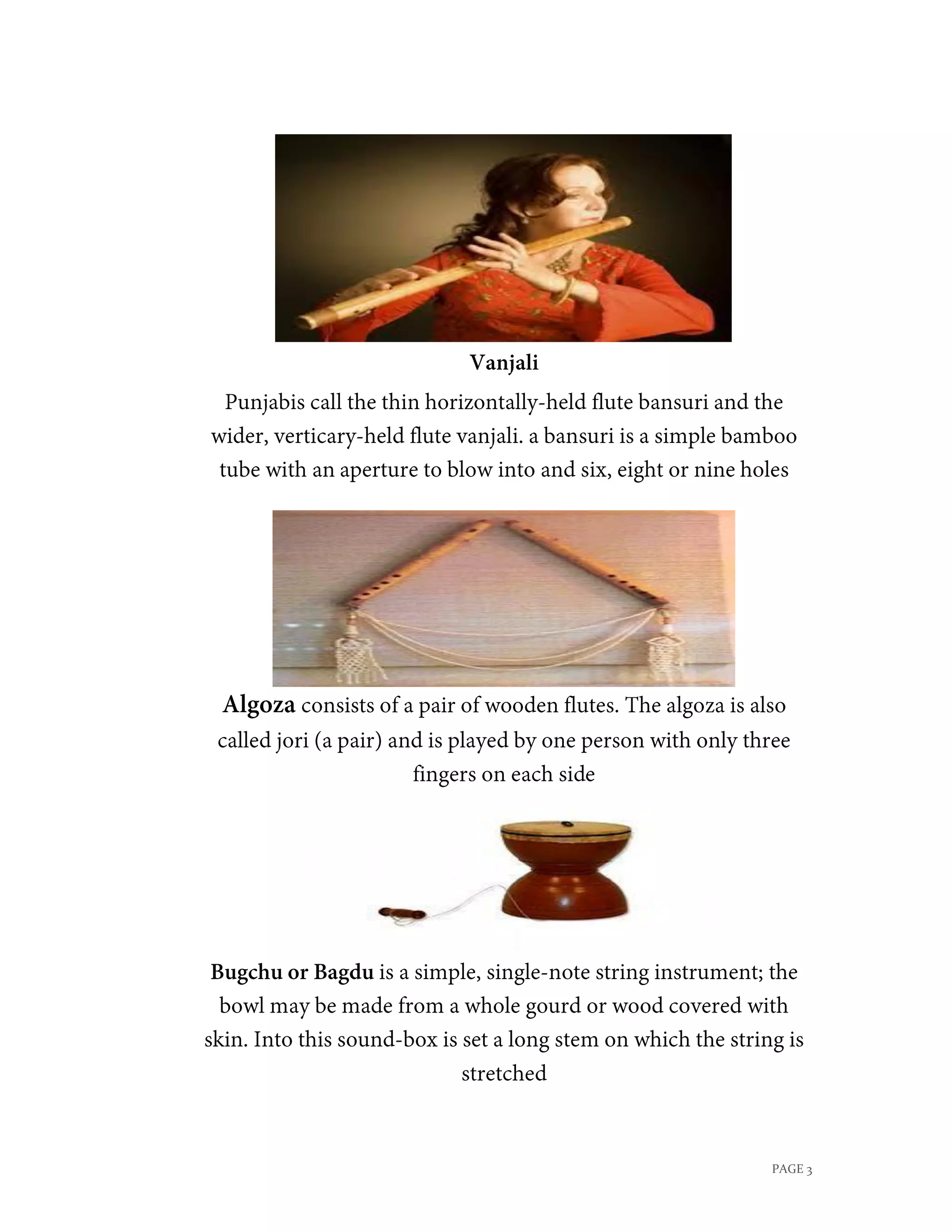 Muscial instruments of punjab | PDF