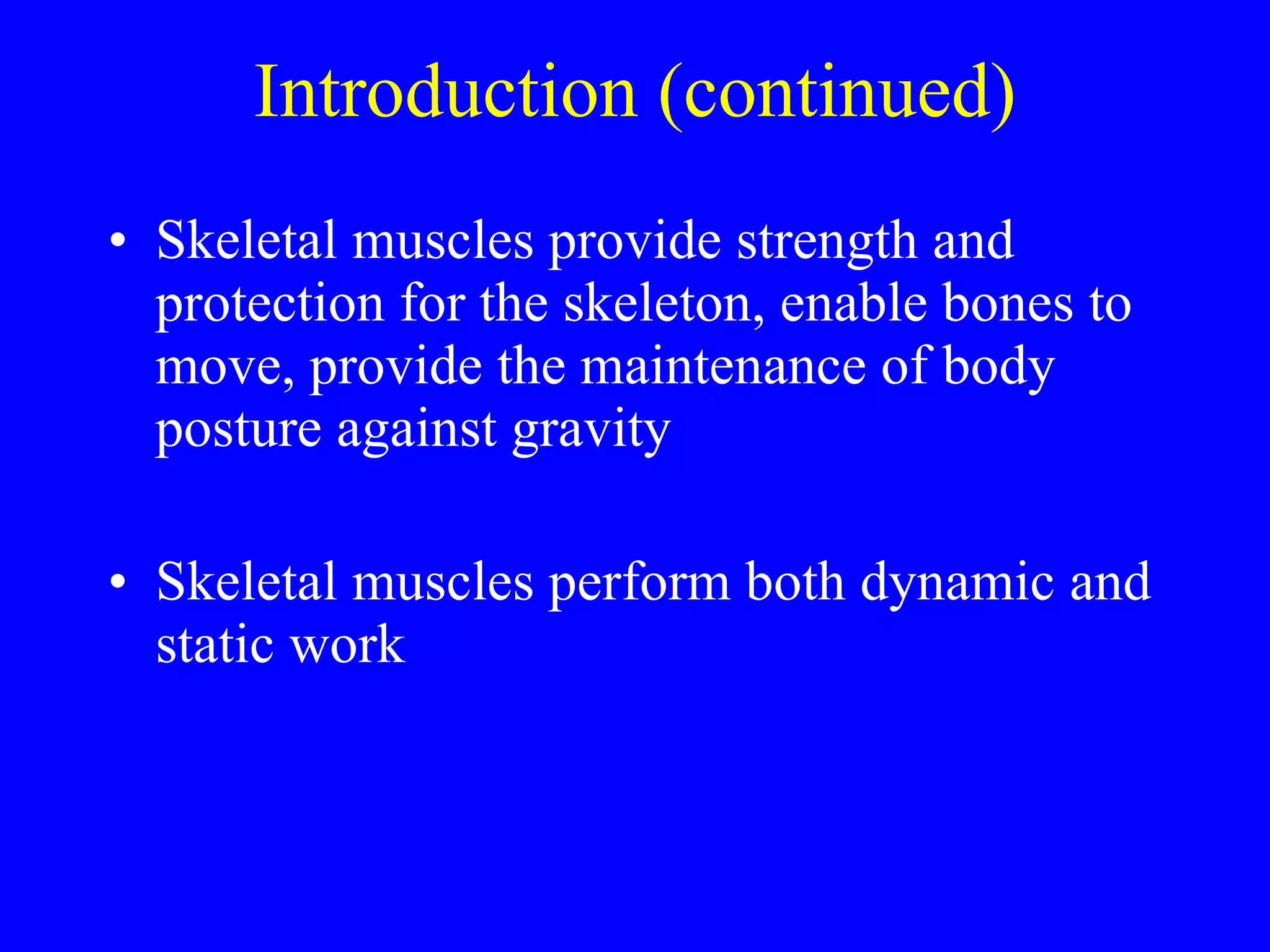 Muscle | PPT