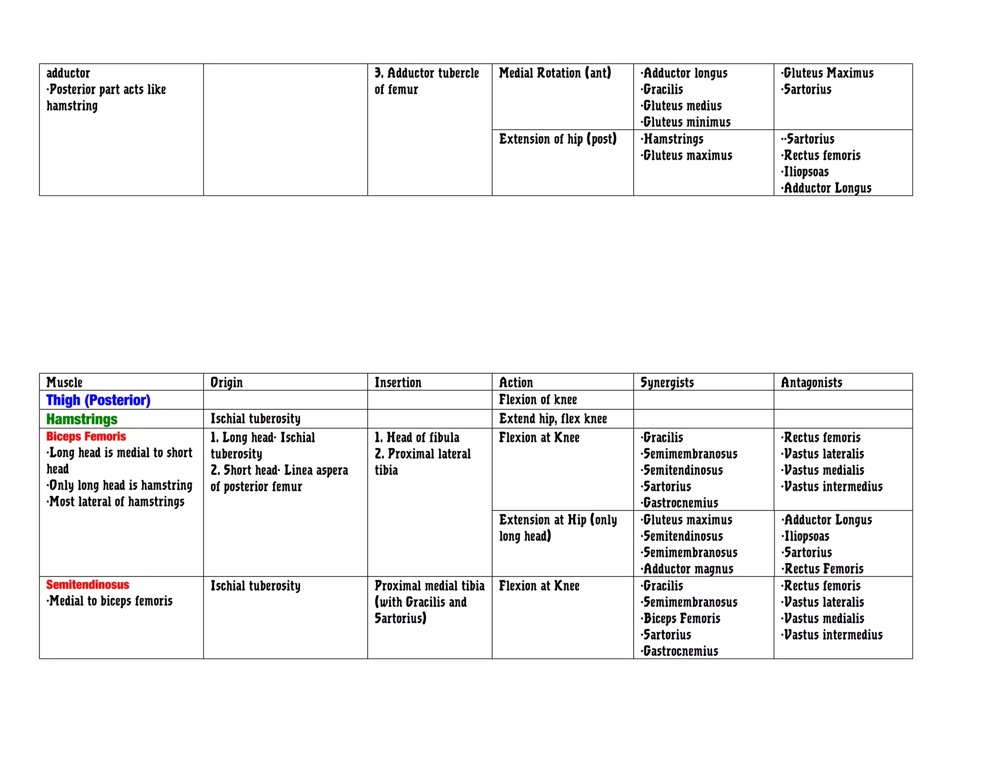 Muscle chart anatomy | DOC