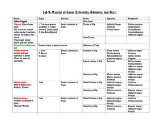 Muscle chart anatomy | DOC