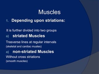 Muscle | PPTX