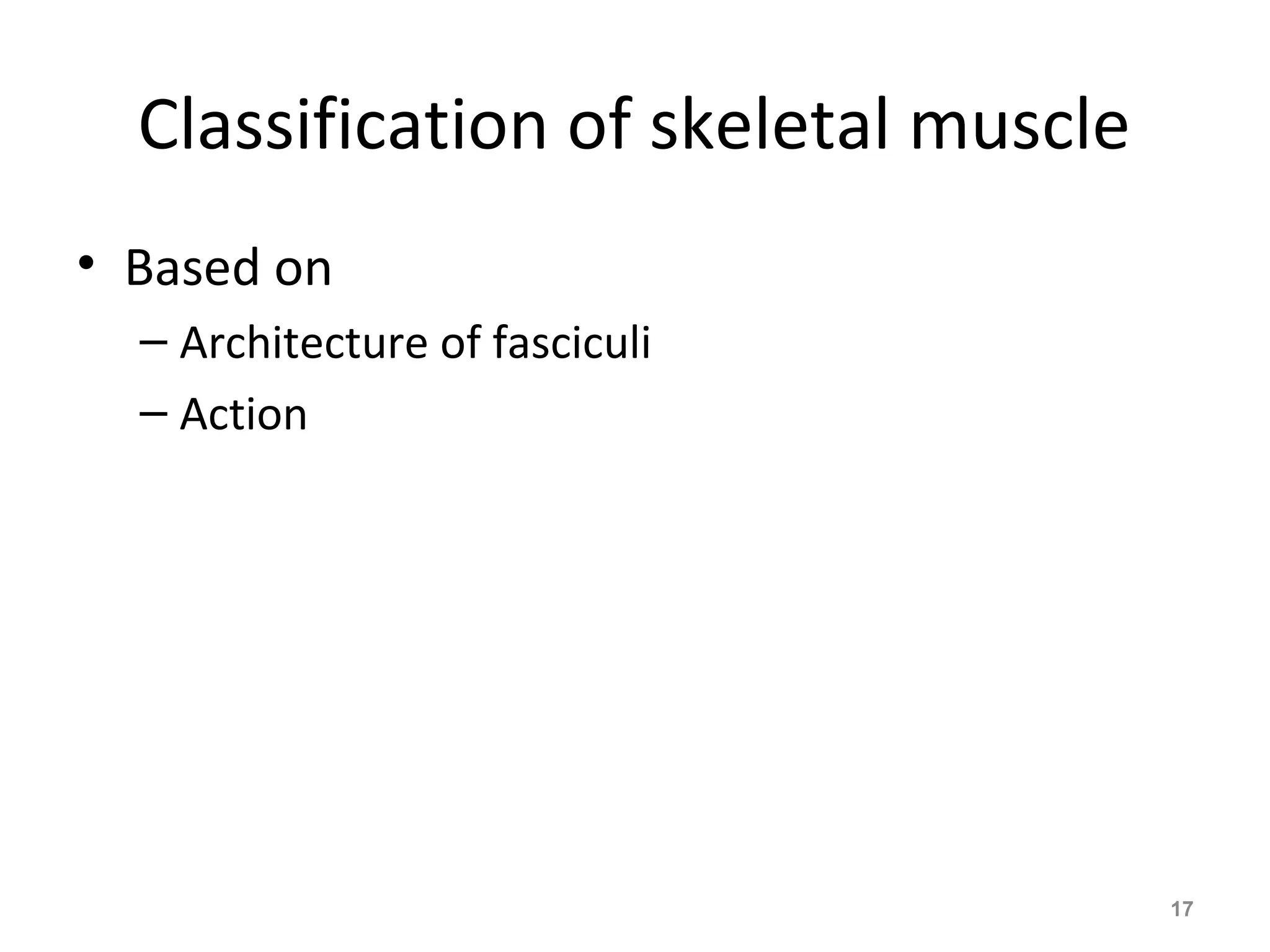 Muscle | PPT