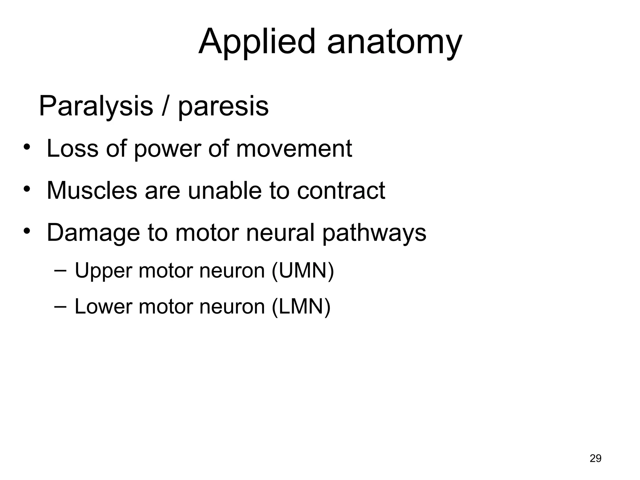 Muscle | PPT