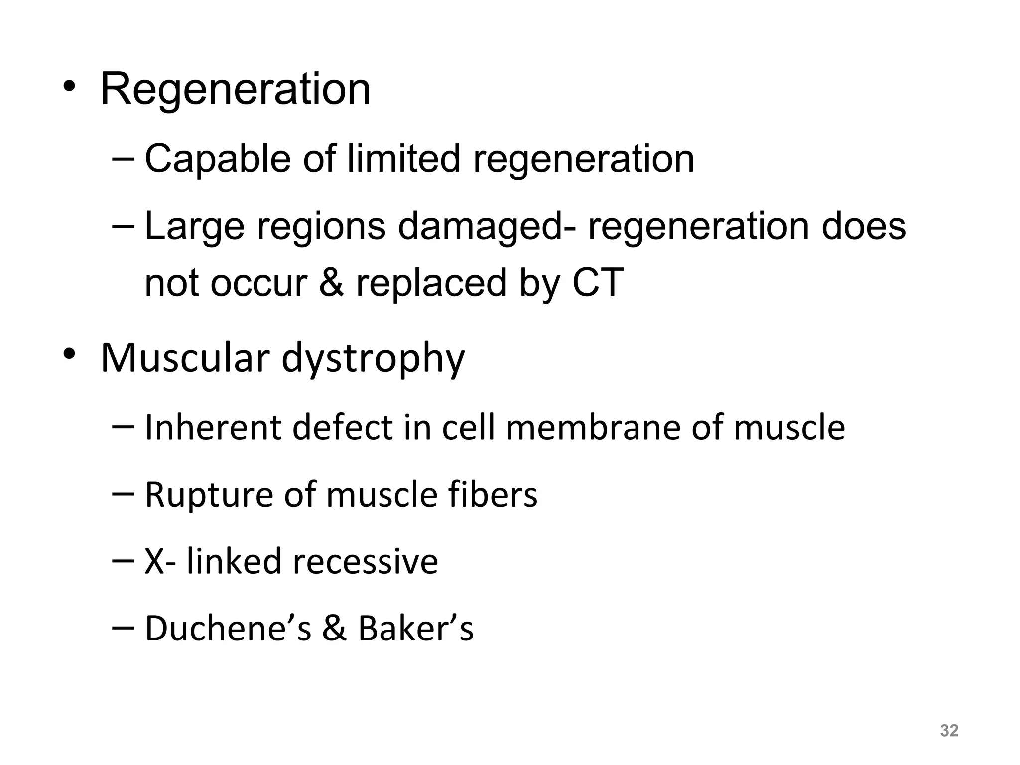 Muscle | PPT