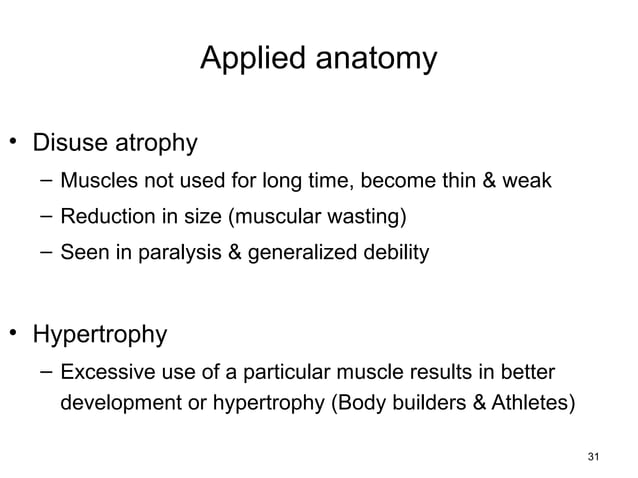 Muscle | PPT