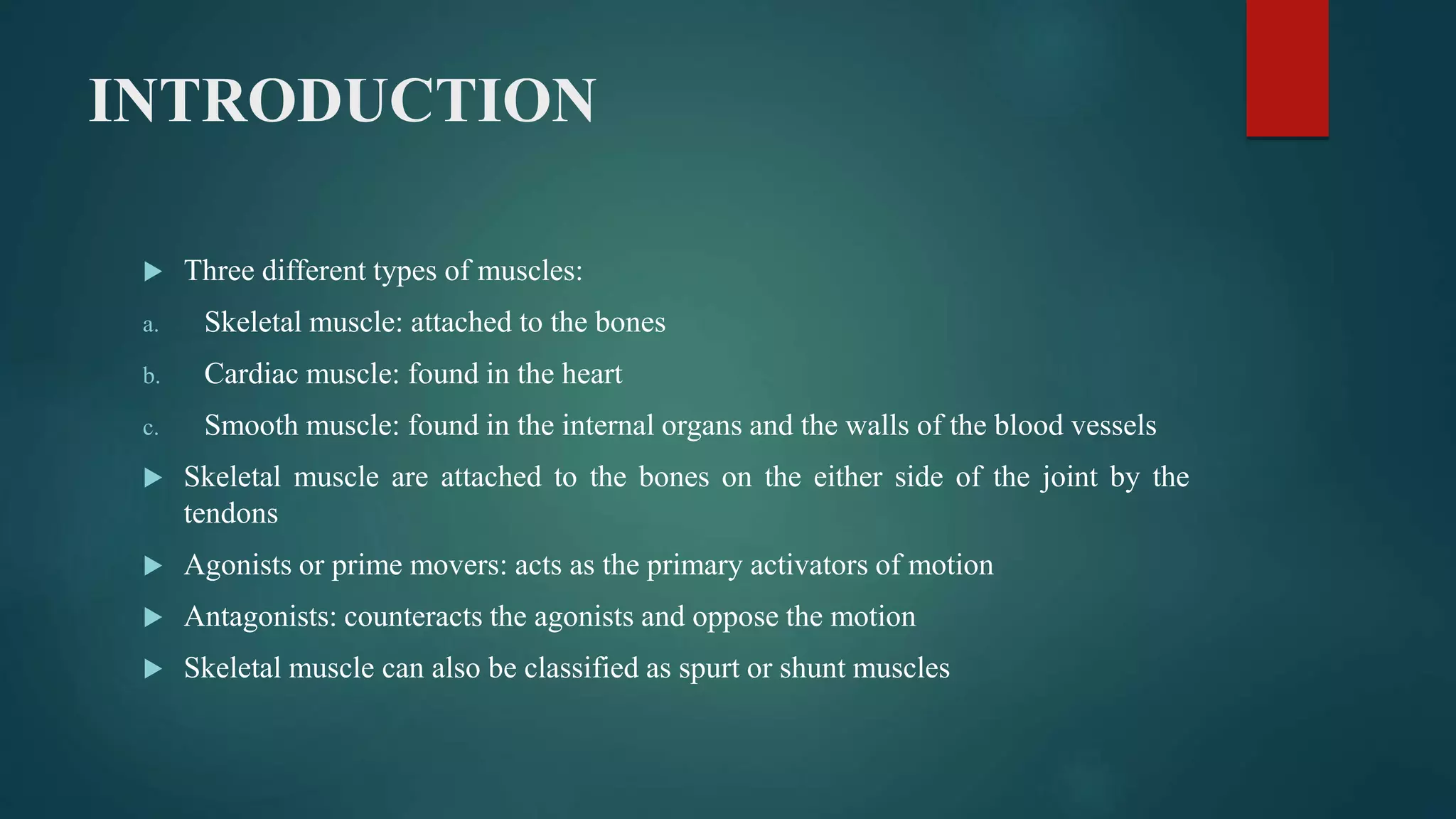 Muscle | PPTX