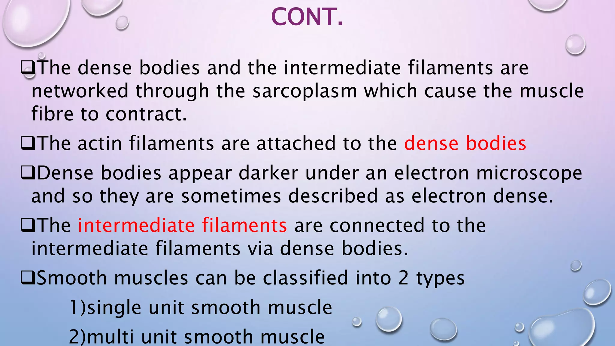 muscle-2.pptx