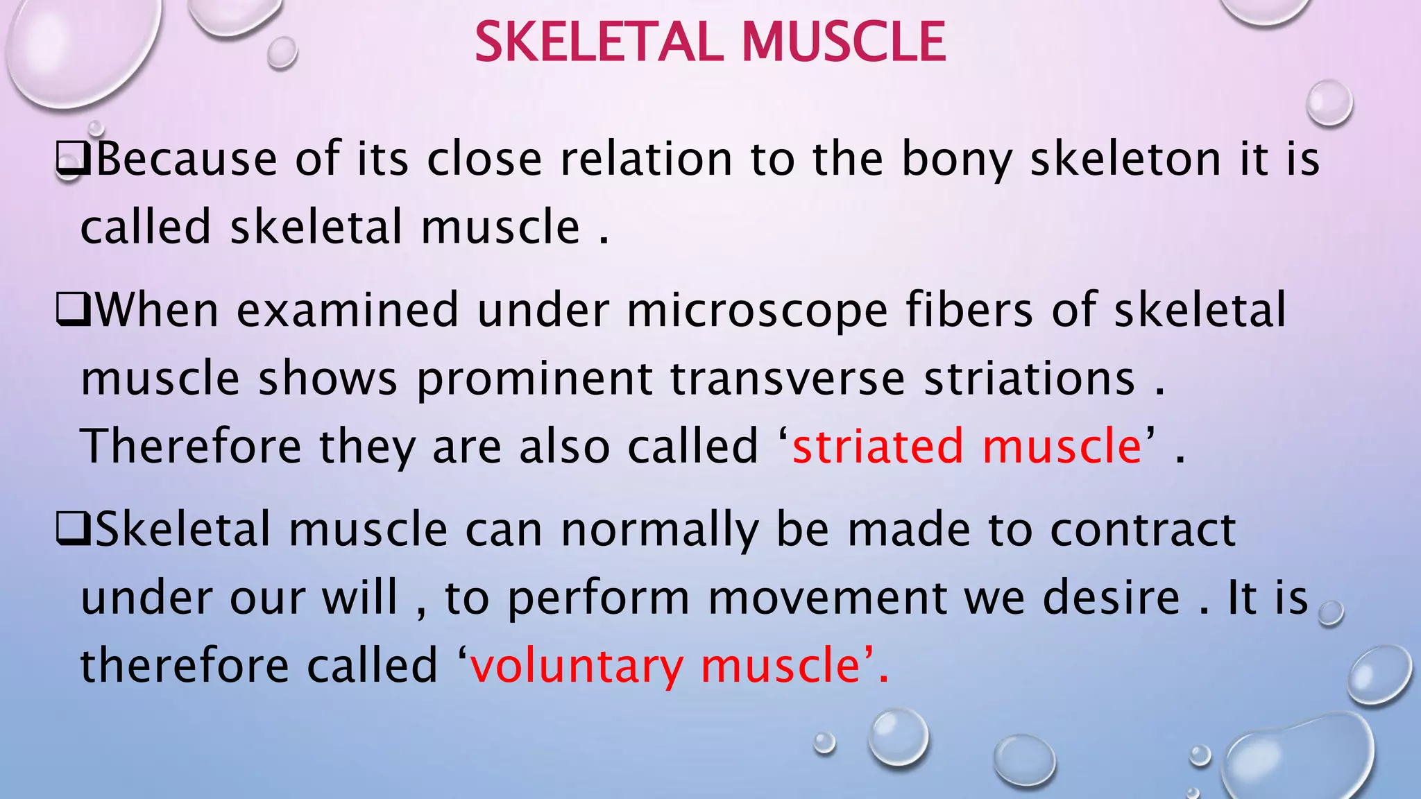 muscle-2.pptx