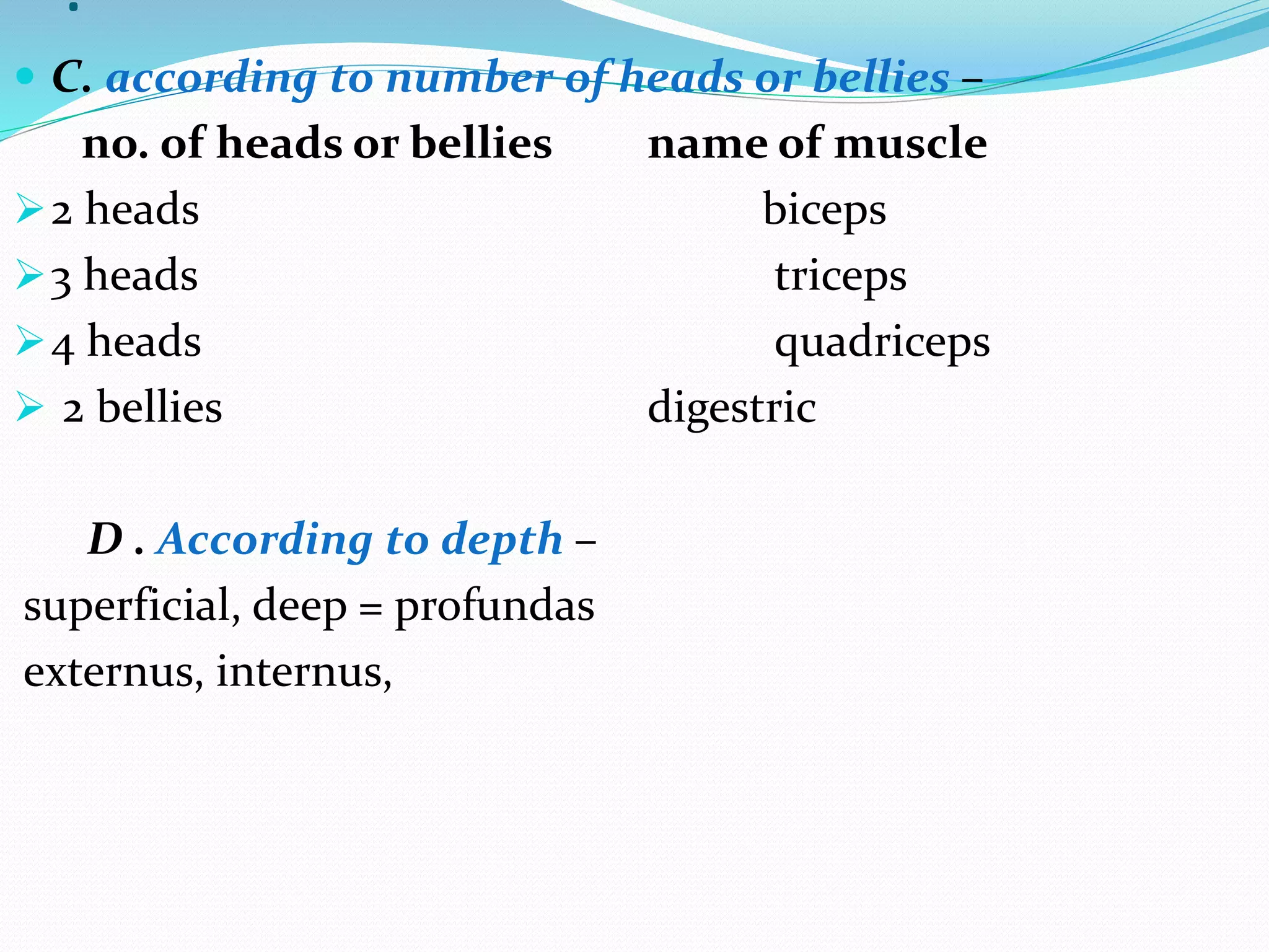 Muscles anatomy and physiology | PPTX