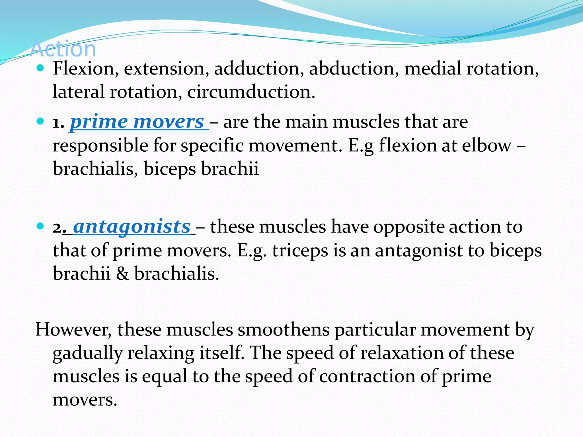 Muscles anatomy and physiology | PPTX