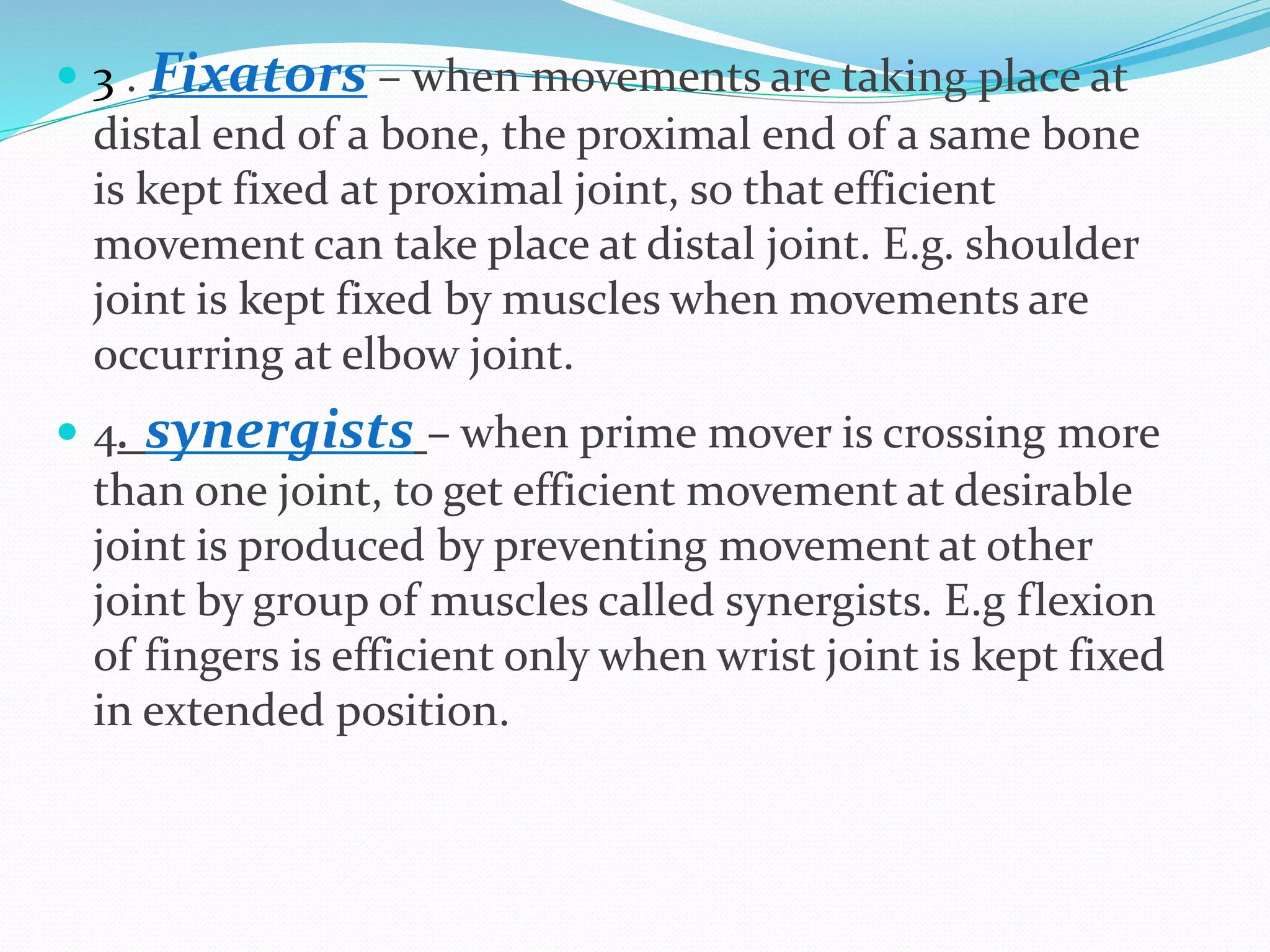 Muscles anatomy and physiology | PPTX