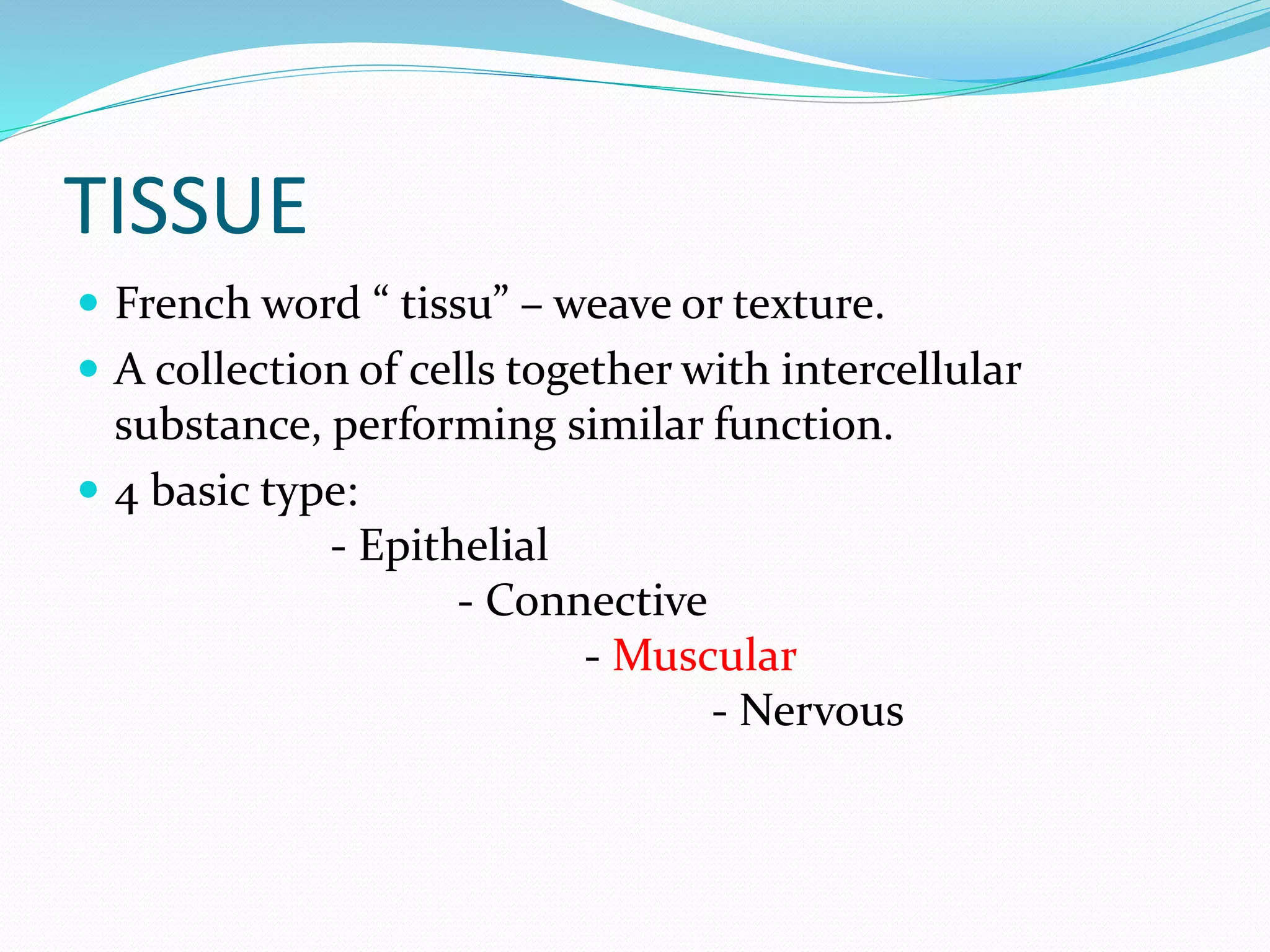 Muscles anatomy and physiology | PPTX