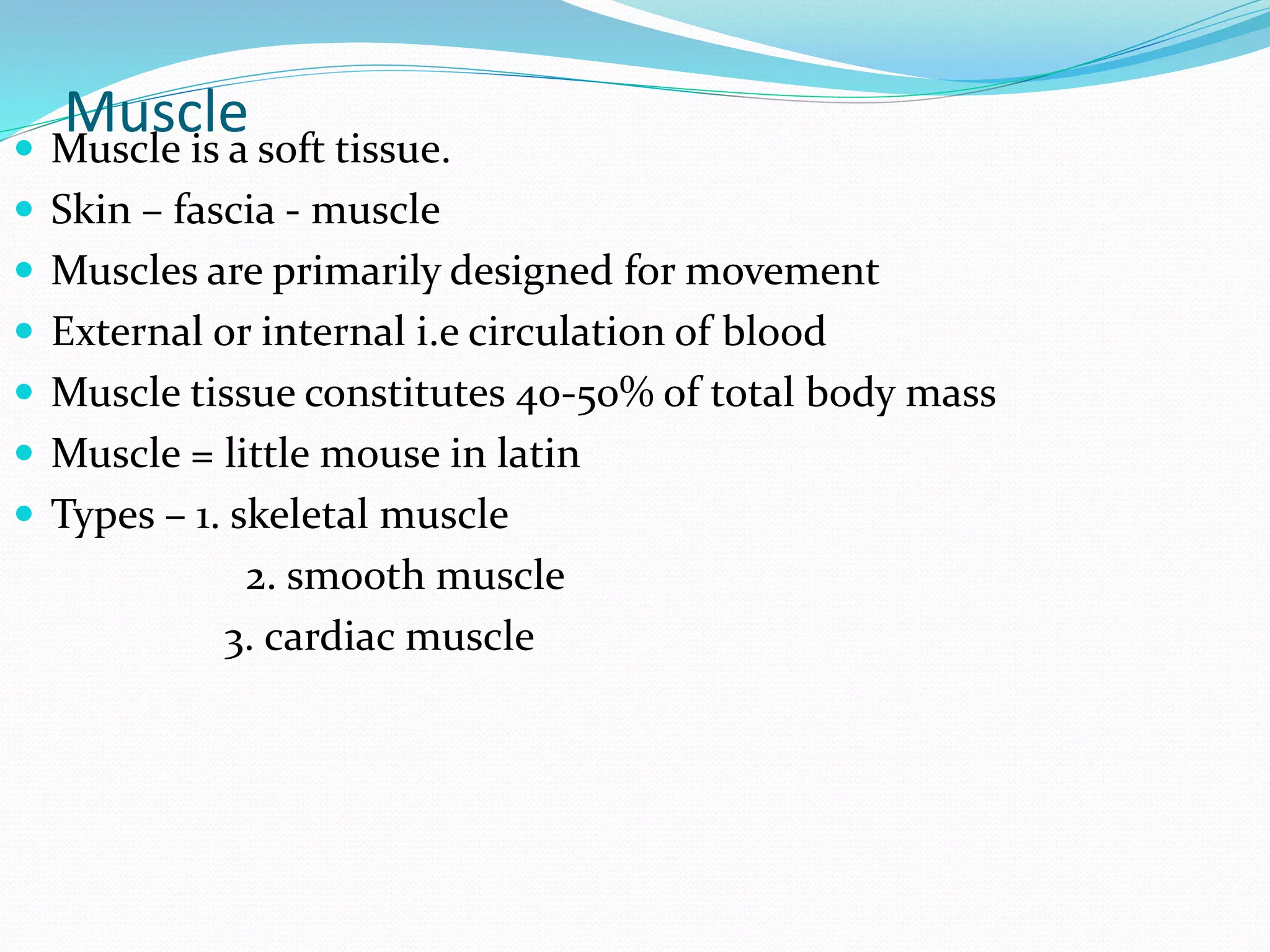Muscles anatomy and physiology | PPTX