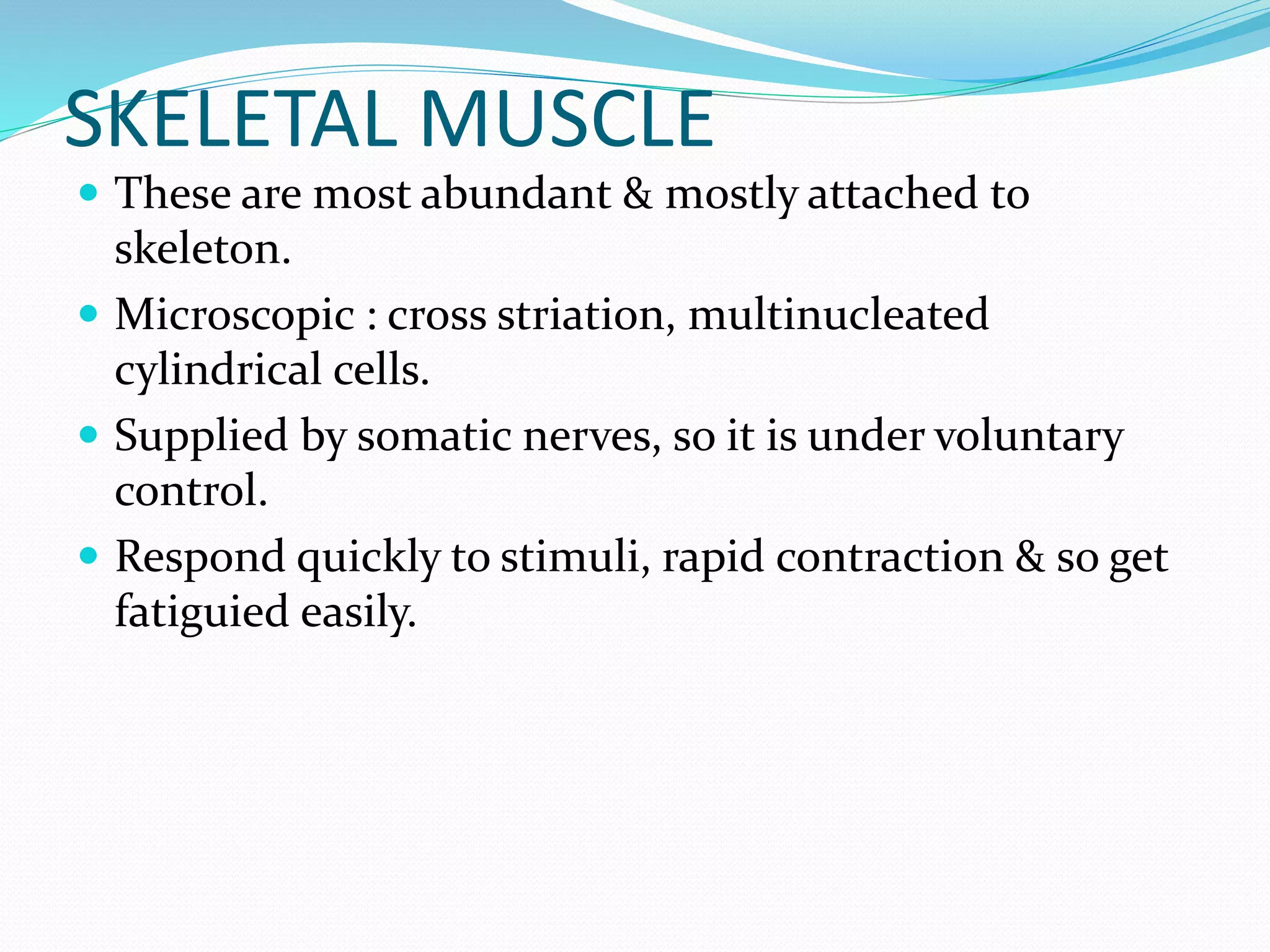 Muscles anatomy and physiology | PPTX