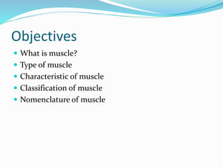 Muscles anatomy and physiology | PPTX