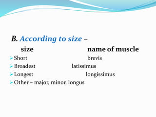 Muscles anatomy and physiology | PPTX