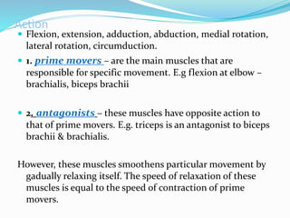 Muscles anatomy and physiology | PPTX