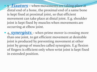 Muscles anatomy and physiology | PPTX