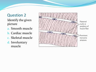 Muscles anatomy and physiology | PPTX