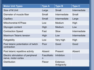 Muscle tone | PPTX