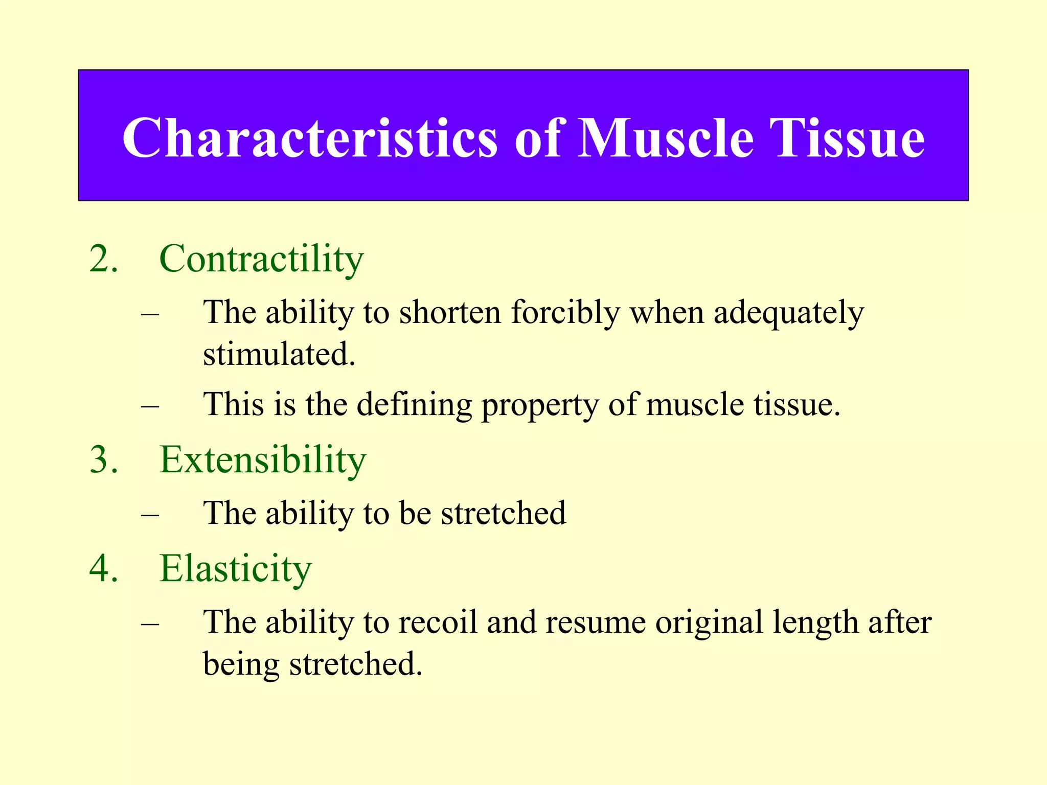 MUSCLE.ppt
